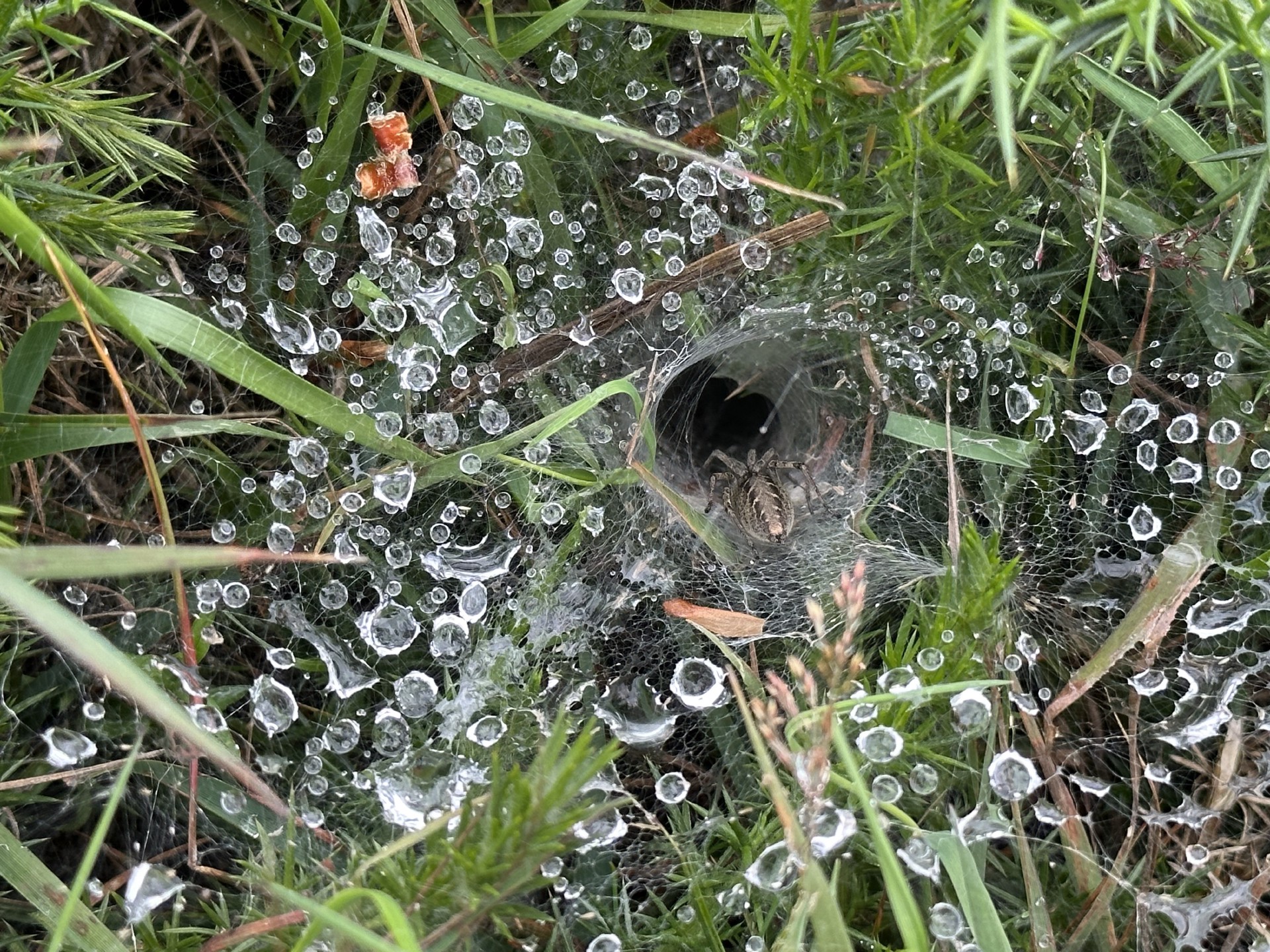 Journey to Ireland | Romka!eu